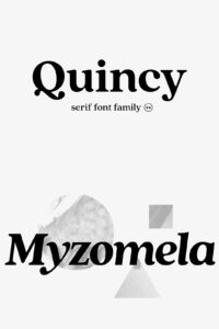 Quincy CF: vintage serif font family - Siteoutsite