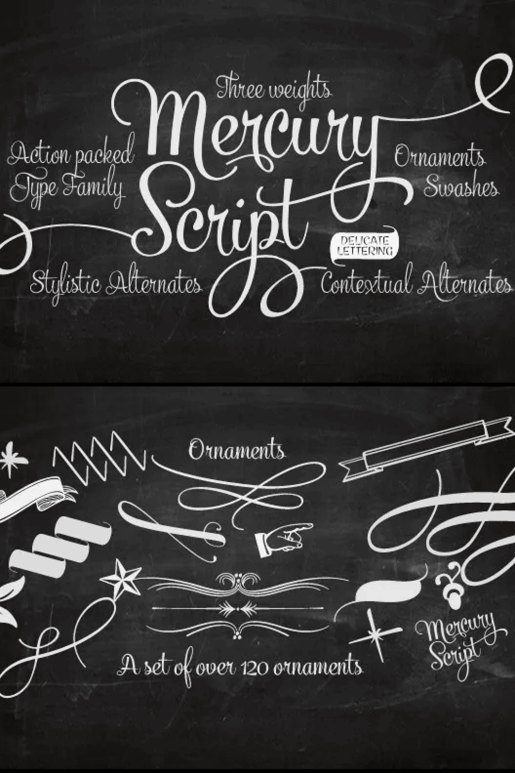 Mercury Script Font - Siteoutsite