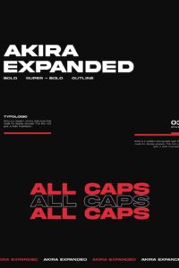 Akira Expanded - Siteoutsite